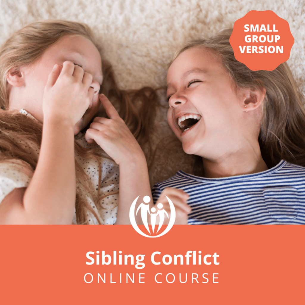 Sibling Conflict for Small Groups – CF Learning Hub